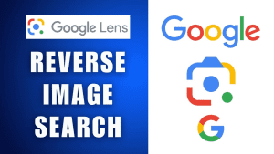 Reverse Video Search: How to Find the Original Source of Any Video ...